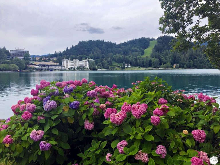 Kihagyhatatlan látnivalók a Bledi-tó körül - Csodahelyek.hu