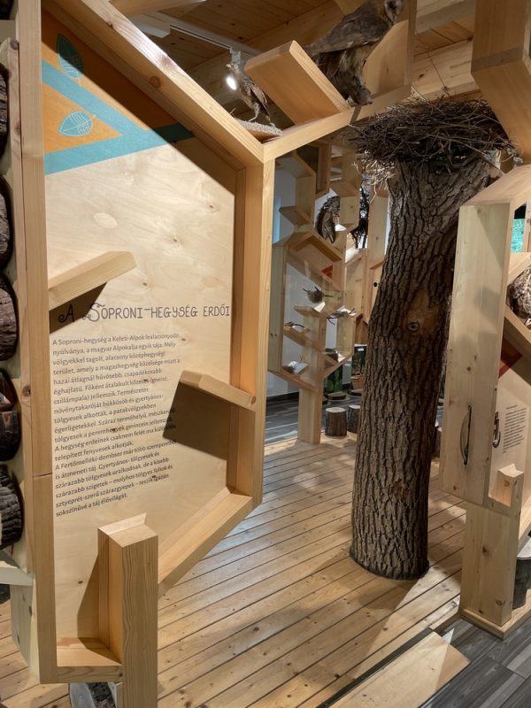 Károly-kilátó: csodahely a soproni Lővérek tetején - Csodahelyek.hu