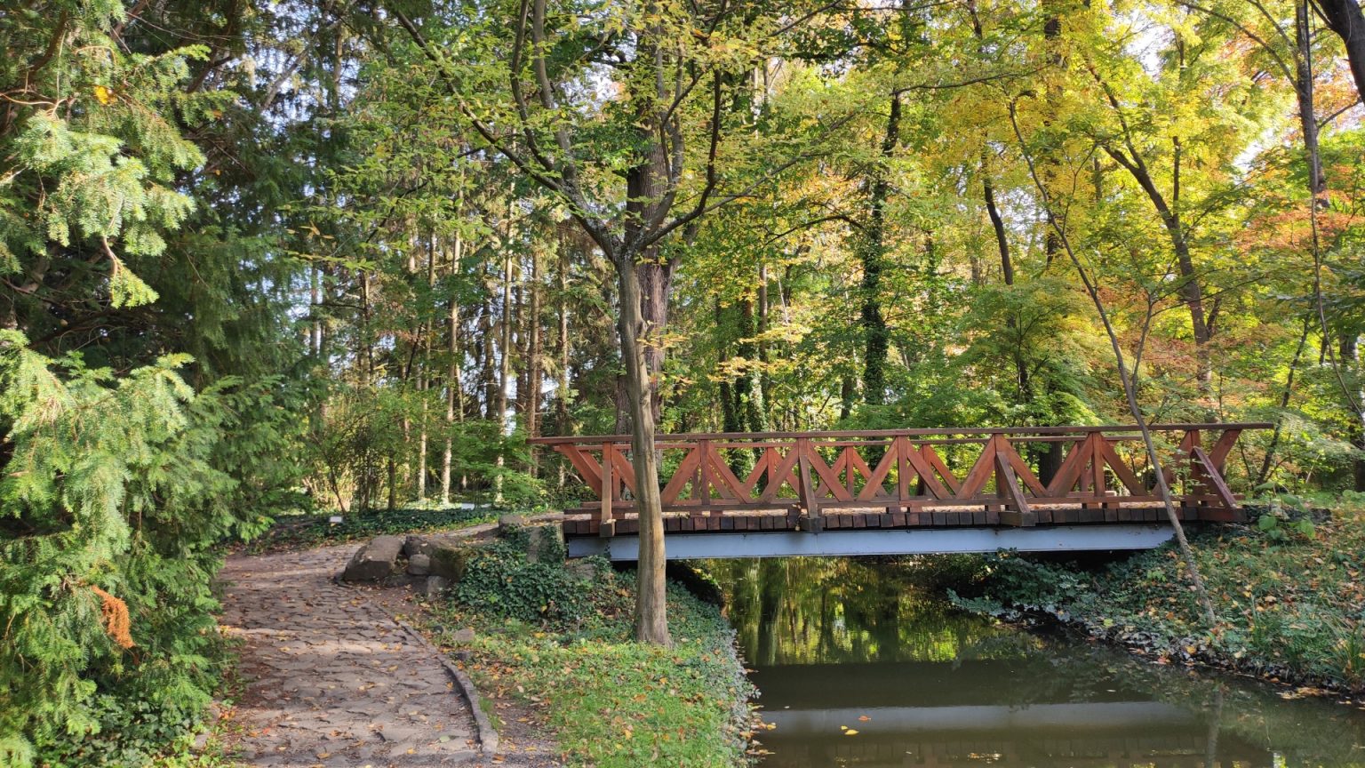 10 elragadó füvészkert és botanikus kert Magyarországon - Csodahelyek.hu
