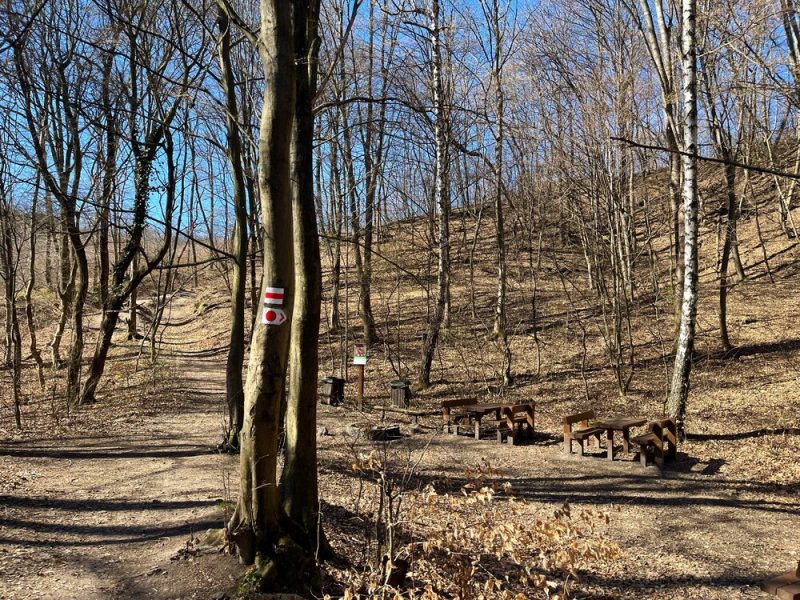 Vörös-kő túra – Magasságok és mélységek a Visegrádi-hegységben ...