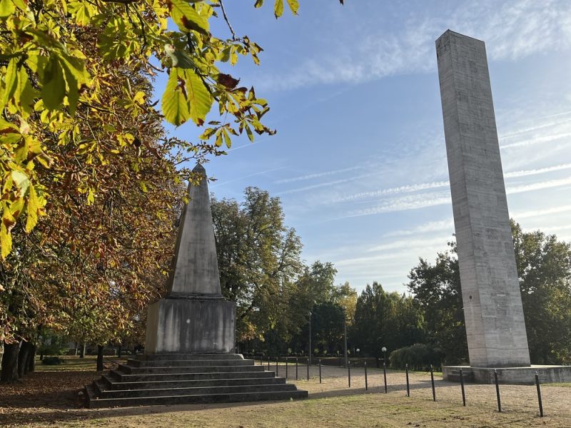 Túra a gemenci erdő vadregényes birodalmában - Csodahelyek.hu